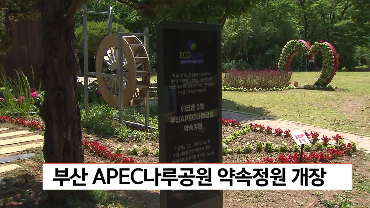부산 APEC나루공원 약속정원 개장 | ZUM TV