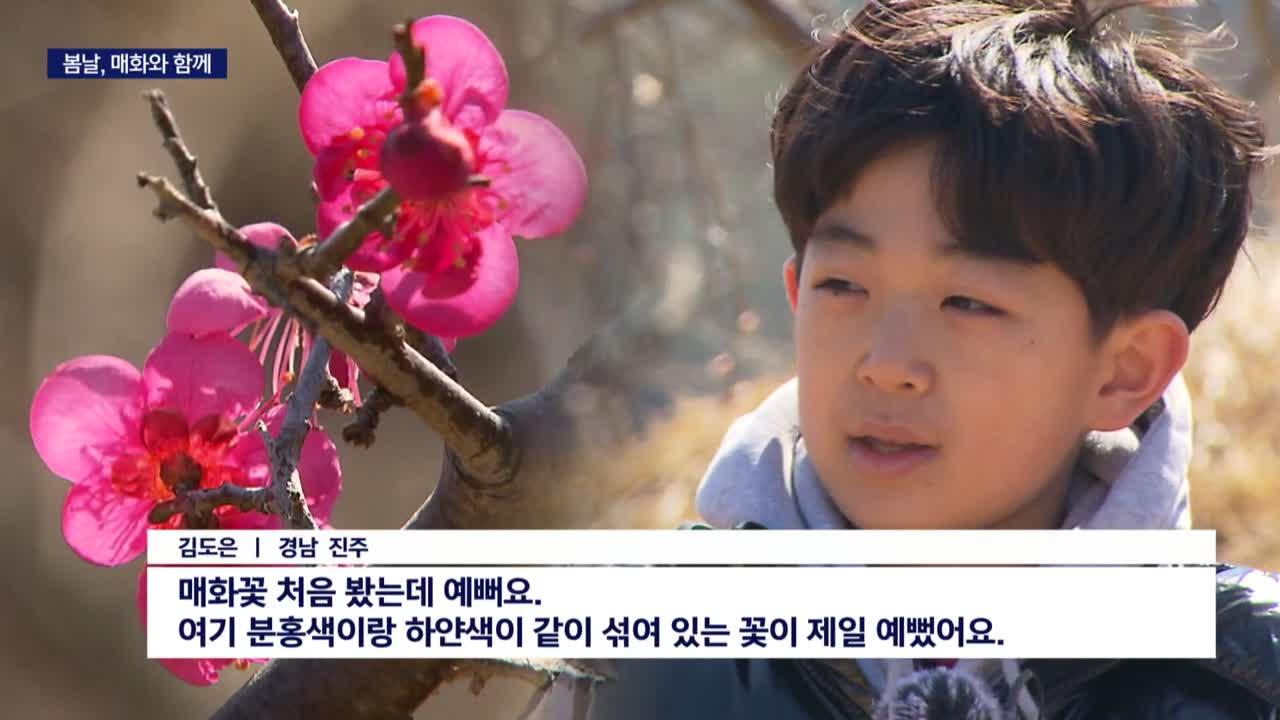 봄이 오는 향기...1만여그루 진주 매화숲 활짝 | ZUM TV