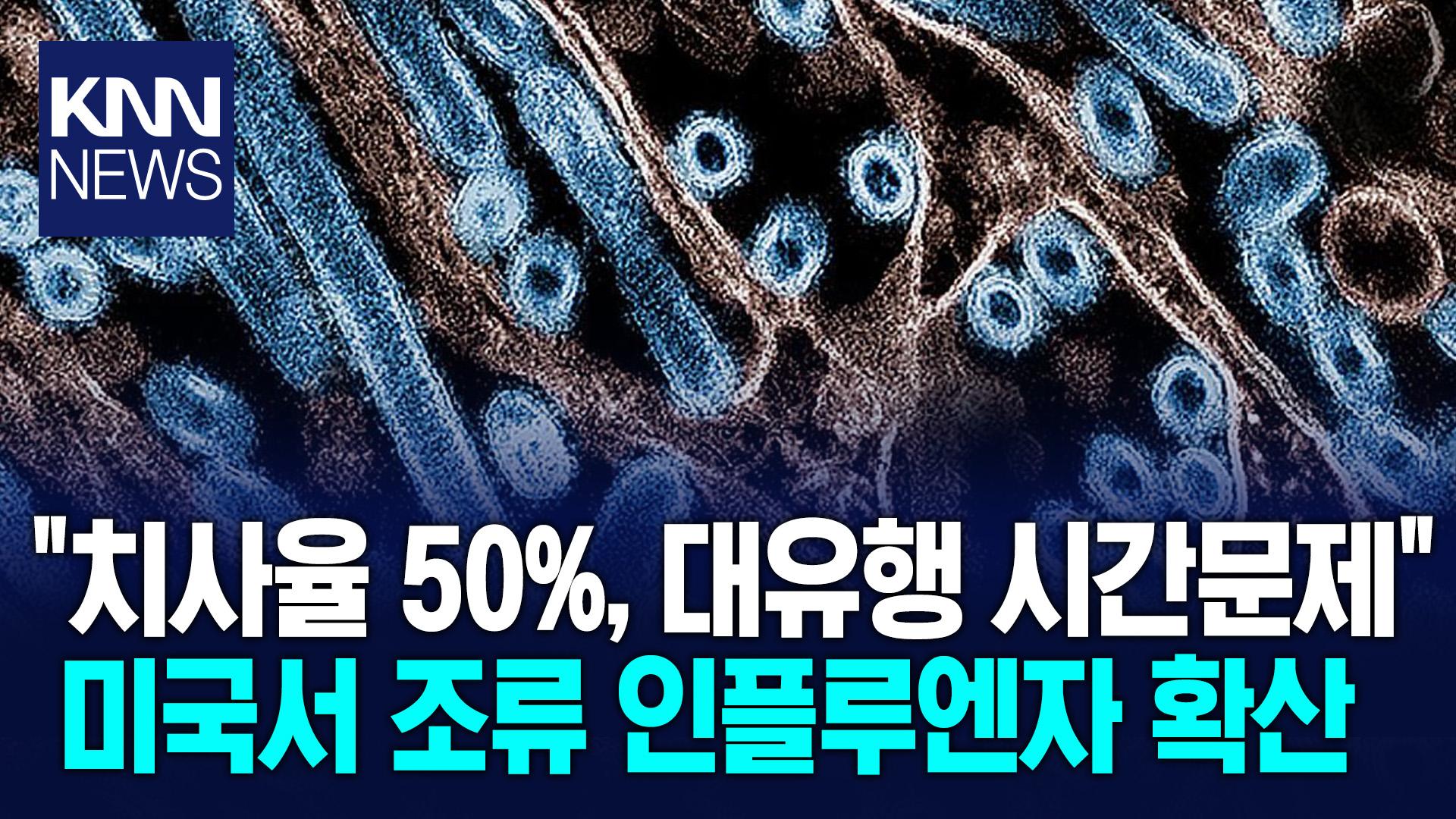확산하는 조류 인플루엔자 캘리포니아 ′비상사태′ 선포/ KNN | ZUM TV