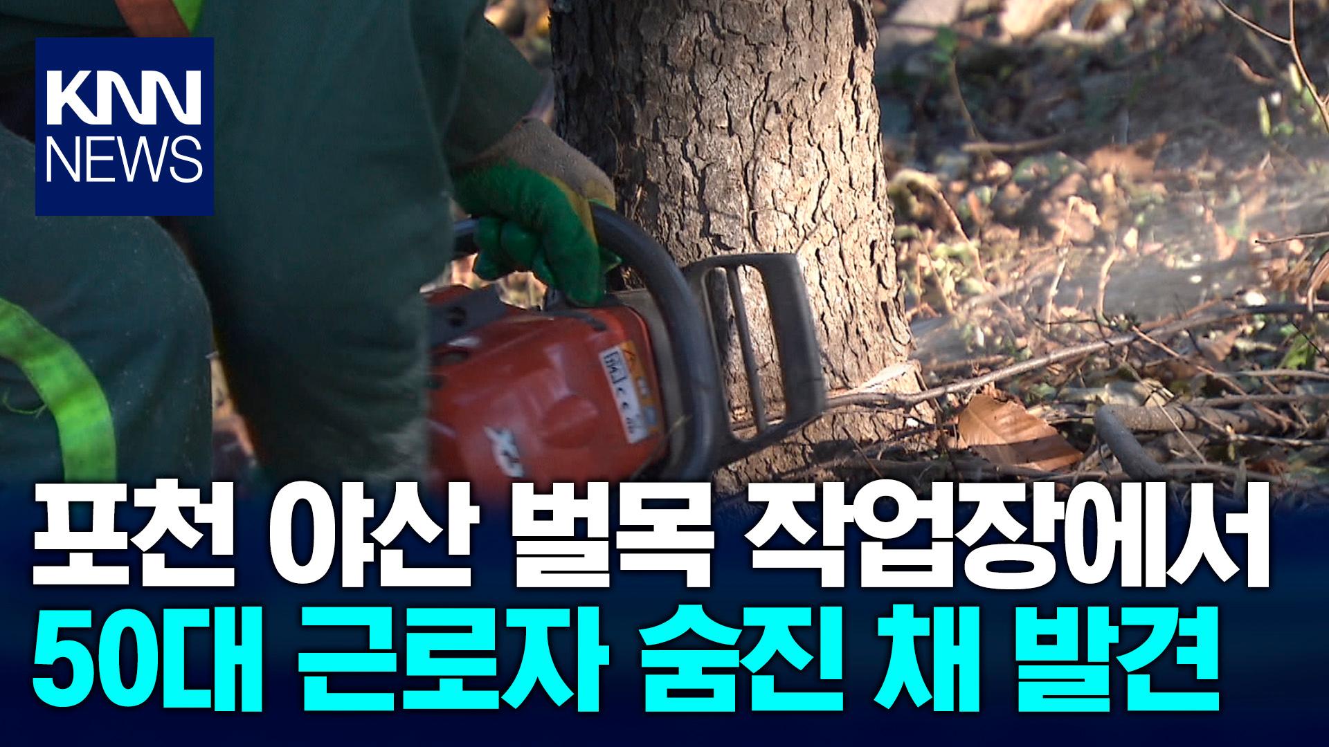 포천 야산서 벌목 작업하던 50대 숨져 / KNN | ZUM TV
