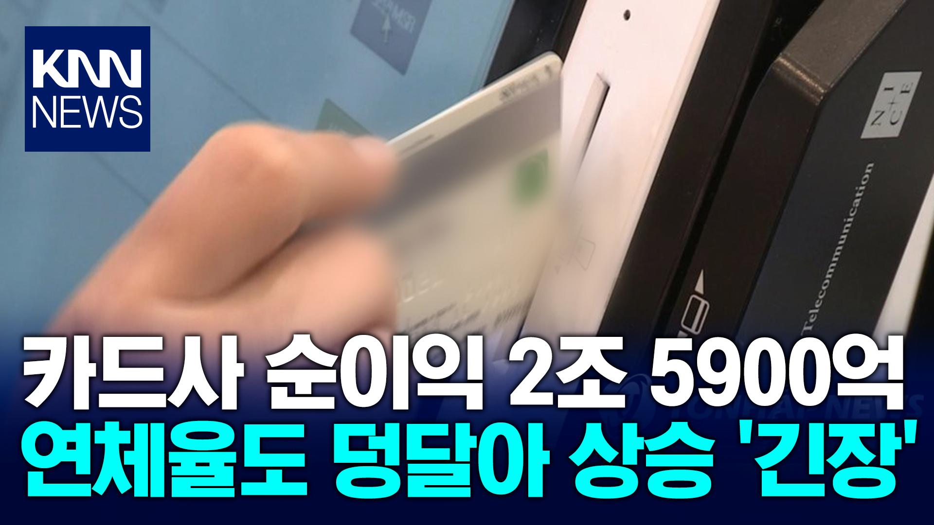 카드사 8곳 지난해 순이익 2조5910억으로 0.3% 늘어, 연체율은 악화 /KNN | ZUM TV