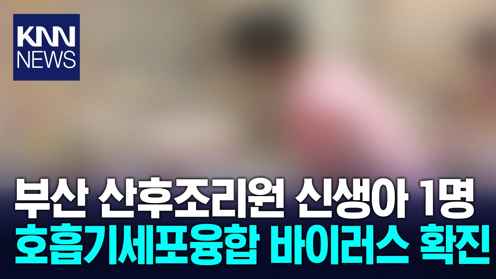 부산 산후조리원 신생아 1명 RSV 추가 확진 / KNN | ZUM TV