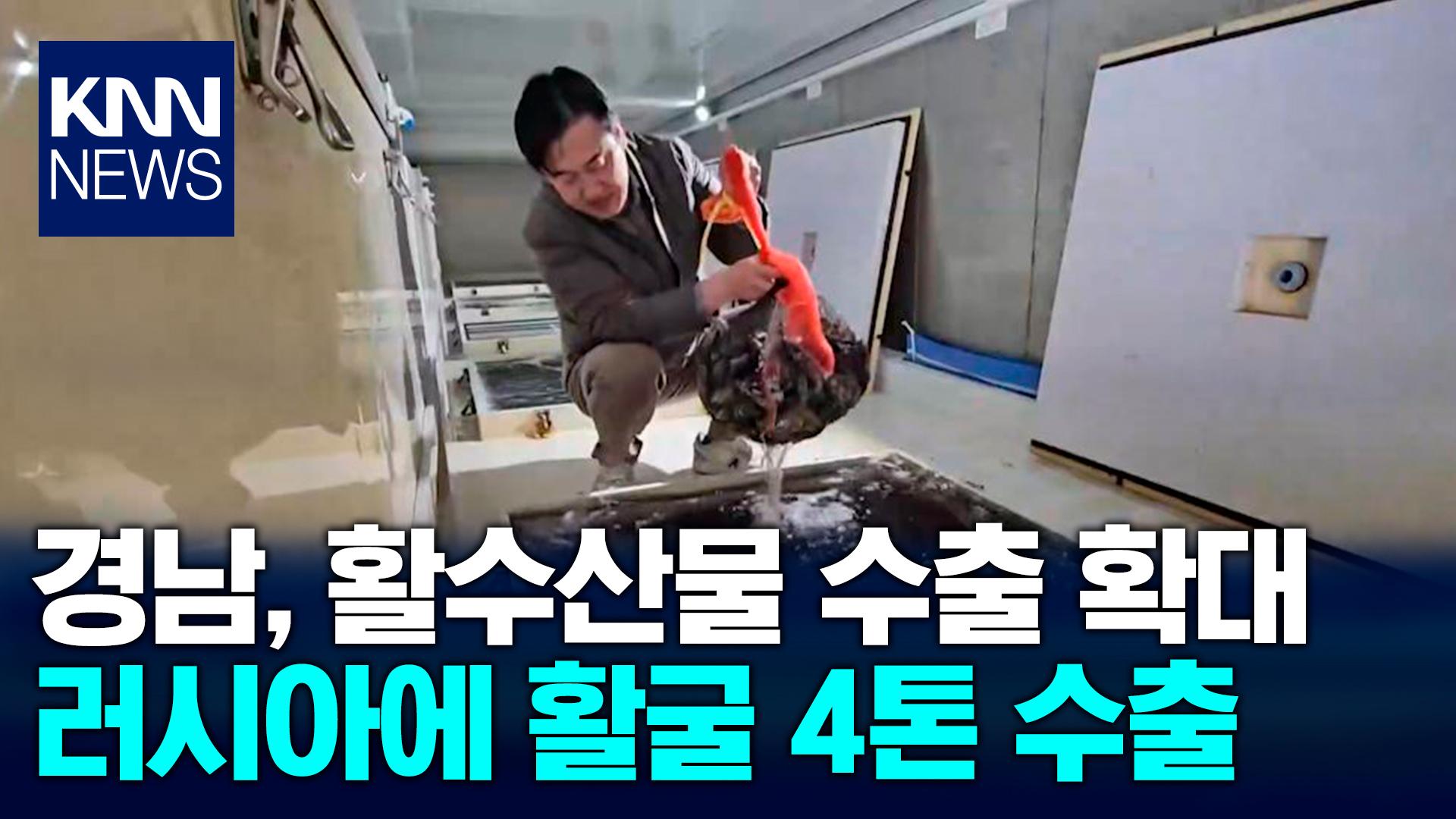 살아있는 굴, 해상으로 러시아 수출 / KNN | ZUM TV