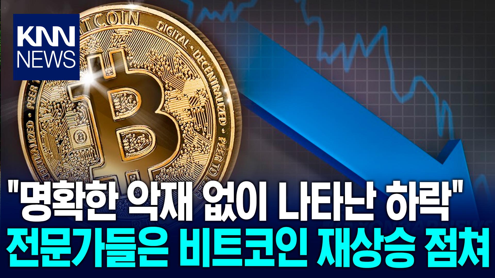 비트코인 매도세 후 반등? ＂최근 가격 하락은 건강한 수준＂ / KNN | ZUM TV
