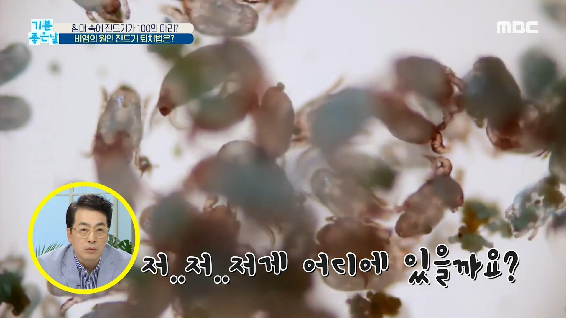 비염의 원인 진드기 퇴치법은? MBC 201208 방송 | ZUM TV