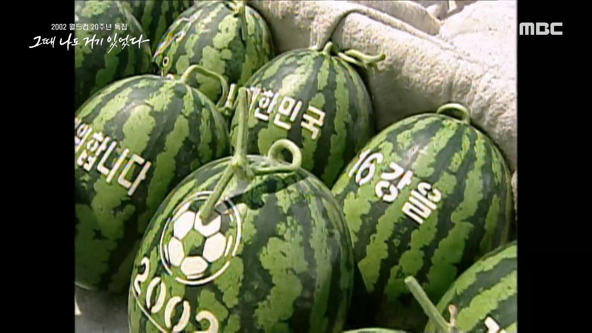 모두가 하나 되어 염원하던 순간, 우리의 꿈은 16강!, MBC 221112 방송 | ZUM TV