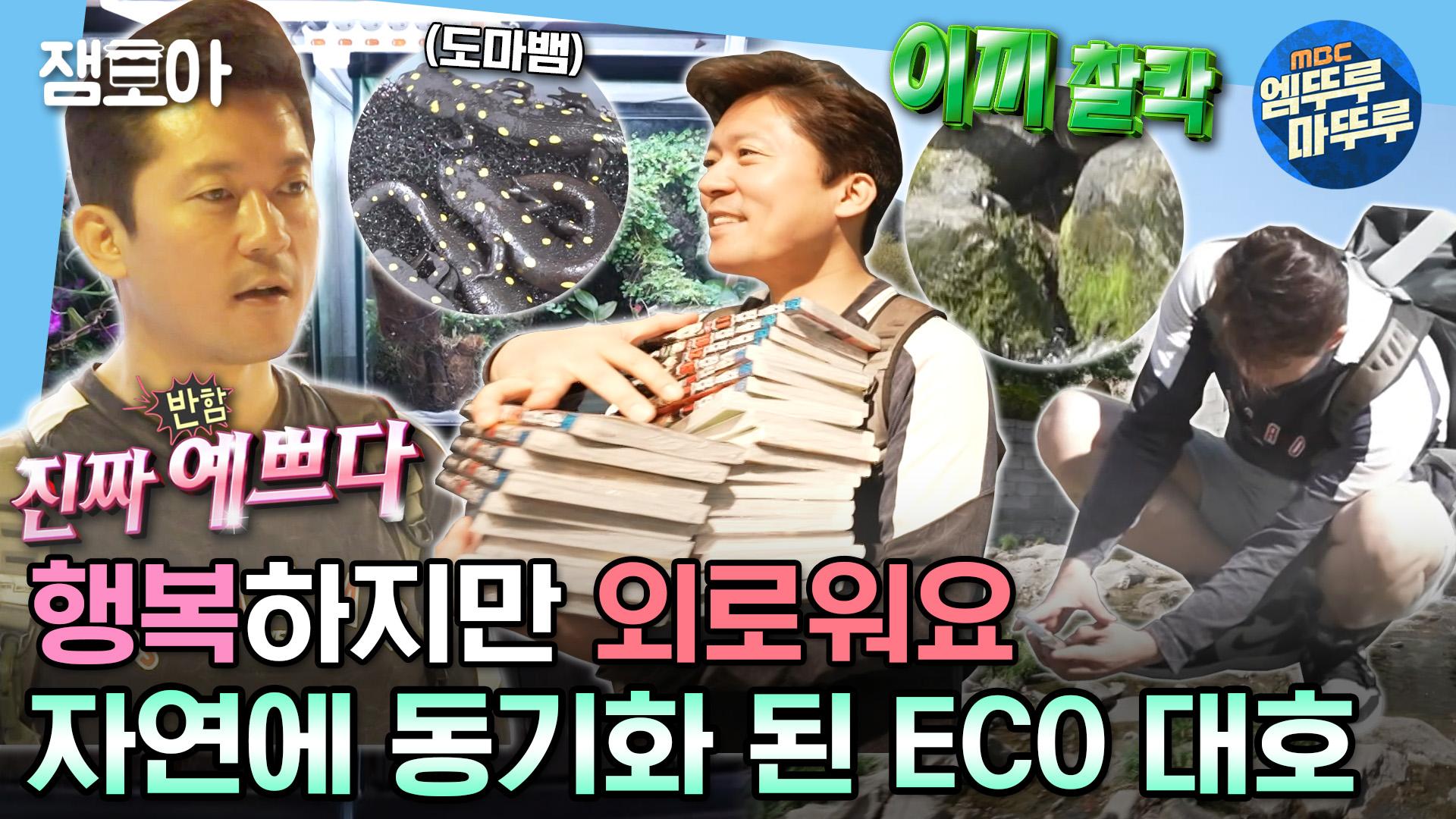 [엠뚜루마뚜루] 약 10km를 걷고 이끼 사진 찍는 대한민국 최초 친환경 ECO 아나운서 대호🌿 | #김대호 #아나운서 MBC230421방송 | ZUM TV