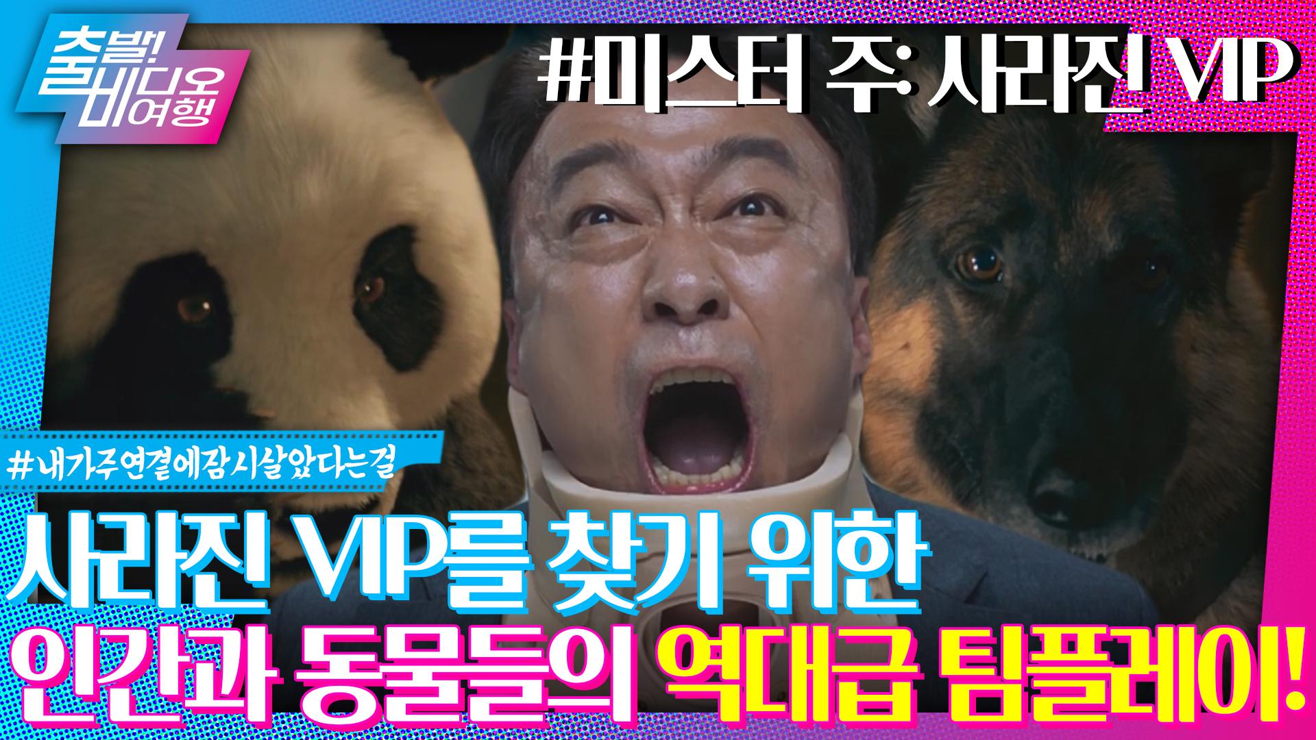 기상천외한 미션의 시작, 사라진 판다를 찾아라! | 미스터 주: 사라진 VIP, MBC 230813 방송 | ZUM TV