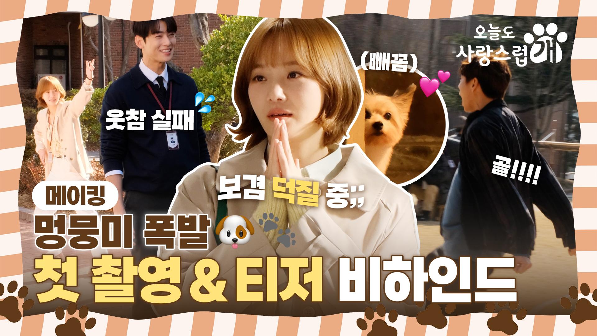 차은우X박규영X이현우 멍뭉미🐶 폭발하는 첫 촬영 현장 대공개! (ft. 개나도 왔어요🐾), MBC 231011 방송 | ZUM TV