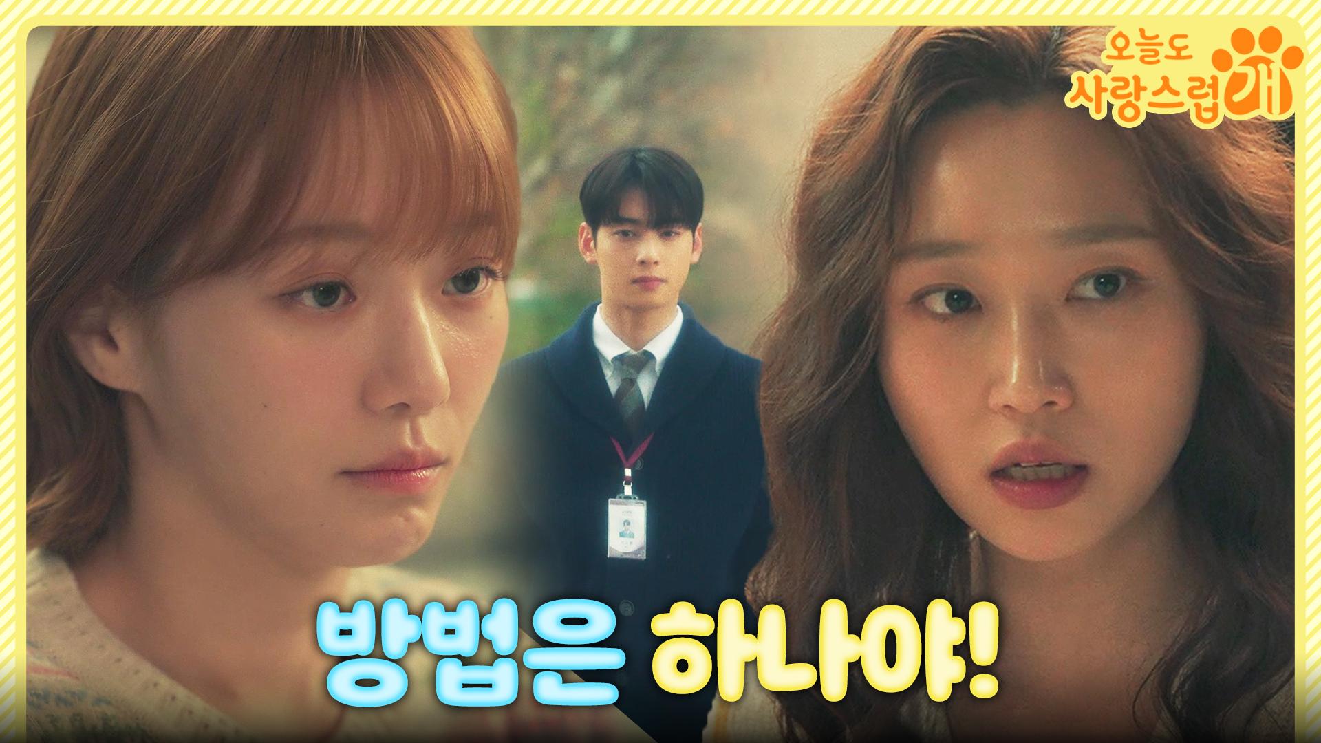 ＂방법은 하나야!＂ 류아벨이 제시한 마지막 플랜 차은우의 개 공포증을 없애라?!, MBC 231101 방송 | ZUM TV