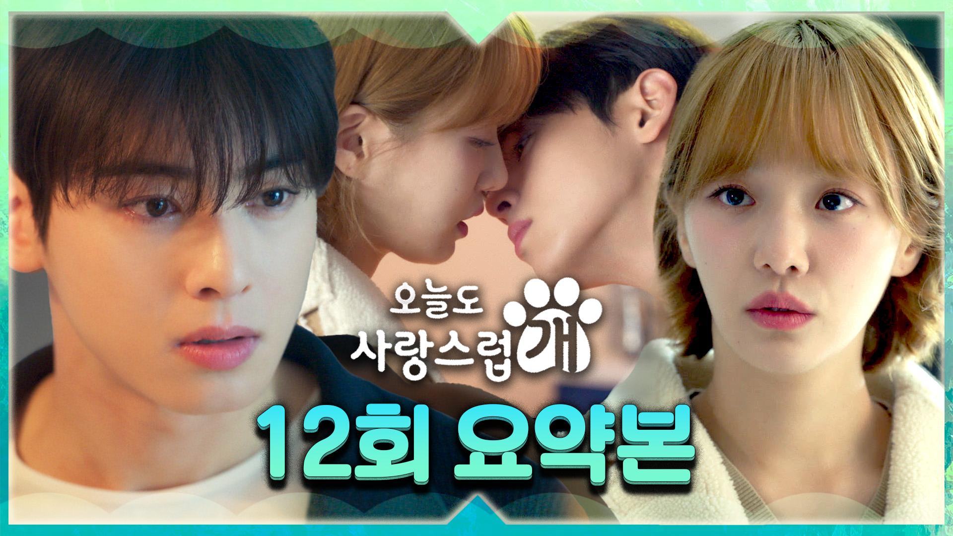 [#오늘도사랑스럽개/A Good Day to be a Dog] 12회 요약본 | 서원이에 대한 기억은 잃었지만 마음은 남아있는 해나? ＂자꾸 이상해요 ...