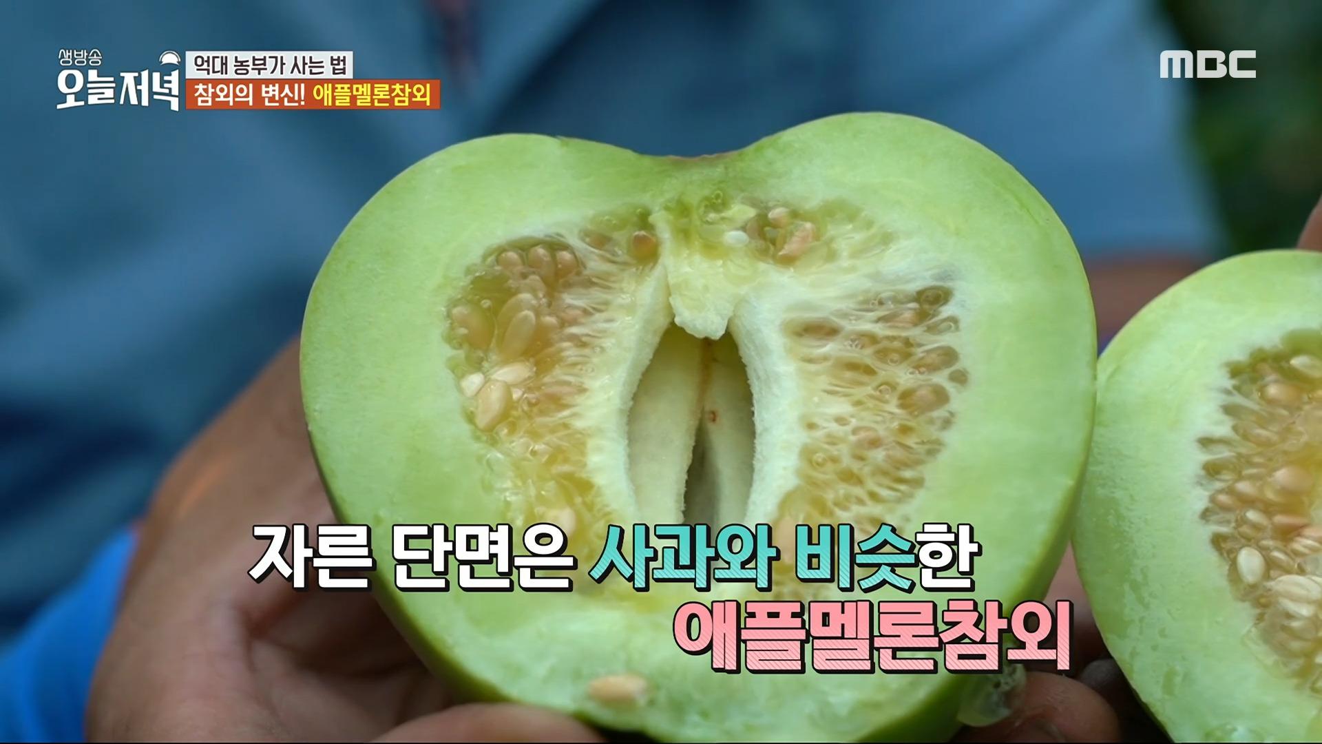 참외의 변신! 애플멜론참외🍏, MBC 240605 방송 | ZUM TV