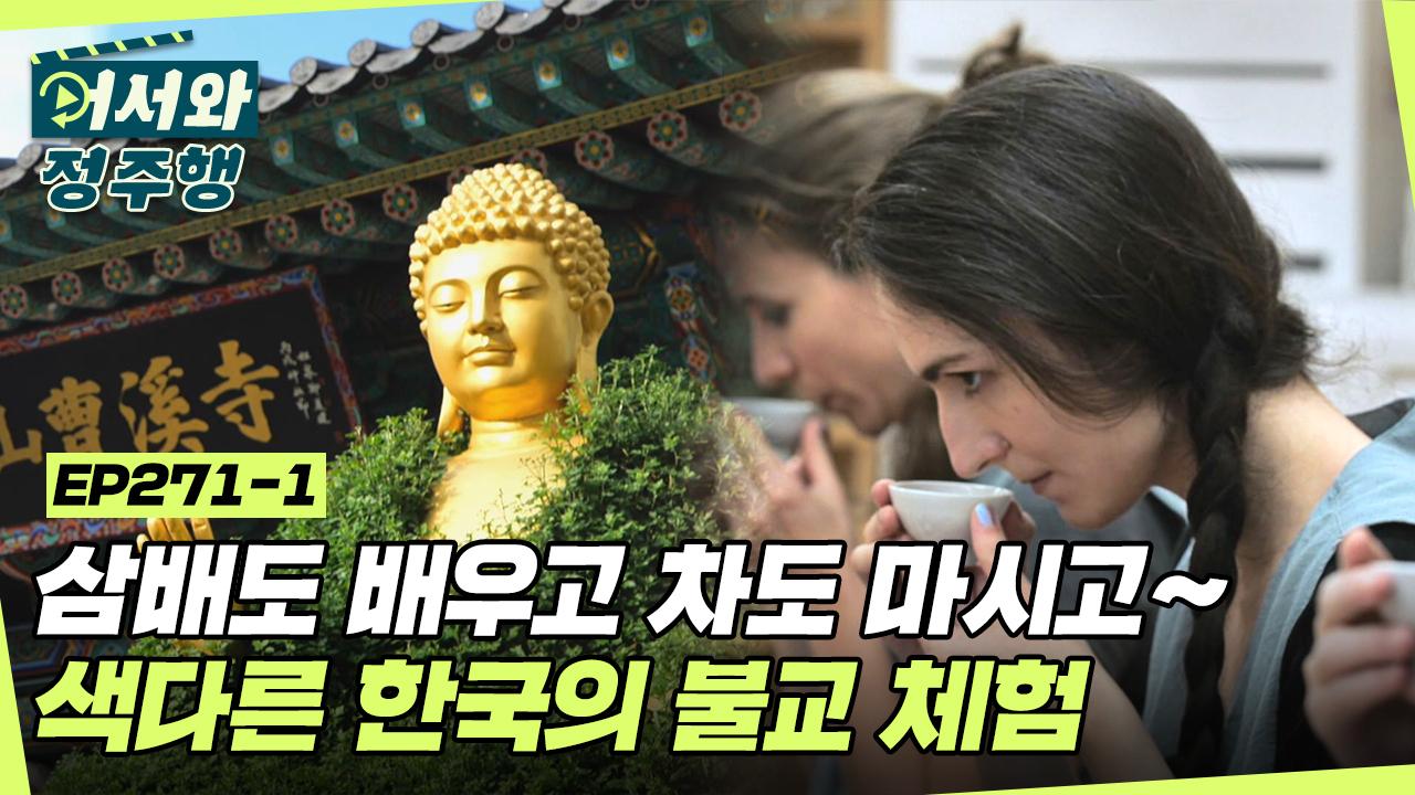 "모든 게 아름답고 조화로워 " 삼배도 배우고 차도 마시고~ 외국인에겐 색다른 한국의 불교체험 L 어서와정주행 L