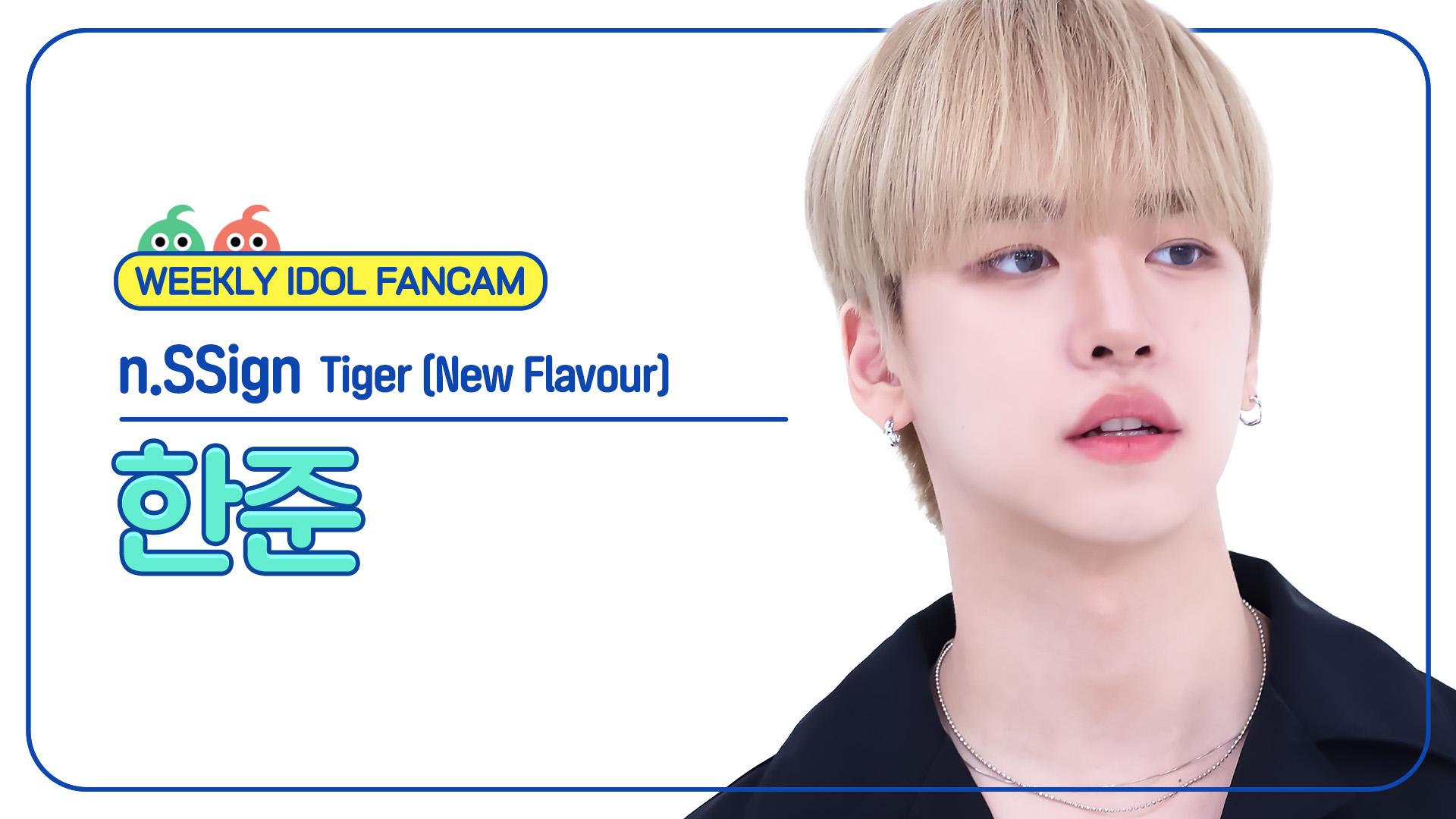 [주간아 직캠 4K] n.SSign HANJUN - Tiger (New Flavour) (엔싸인 한준 - 타이거) l EP ...