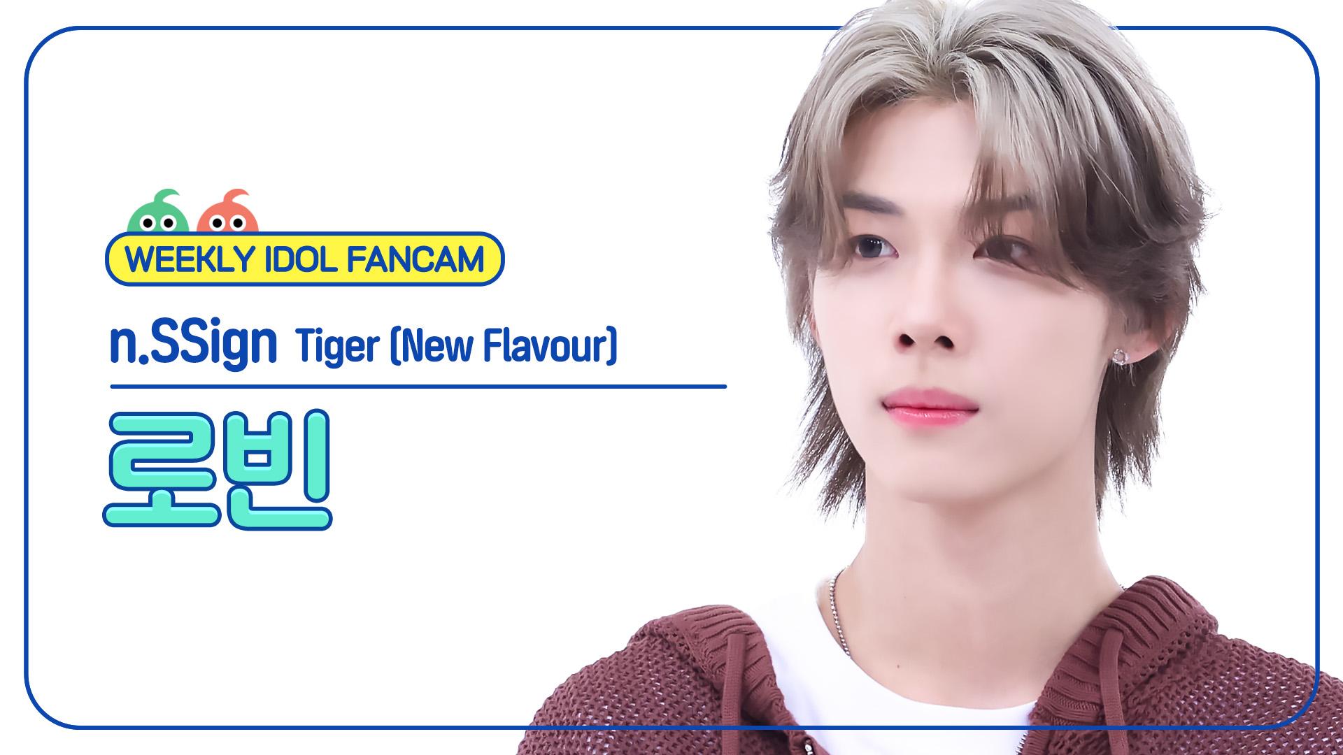 [주간아 직캠 4K] n.SSign ROBIN - Tiger (New Flavour) (엔싸인 로빈 - 타이거) l EP.673 | ZUM TV