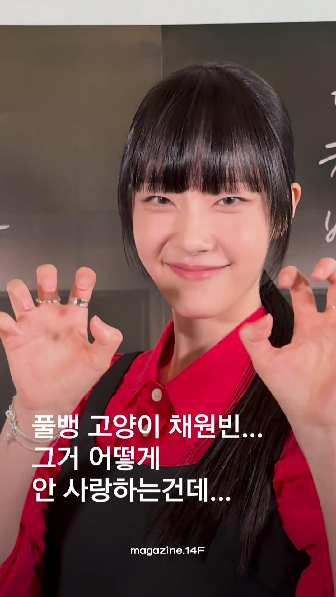 [14F 매거진] 풀뱅 고양이 채원빈... 그거 어떻게 안 사랑하는 건데..., MBC 241011 방송 | ZUM TV