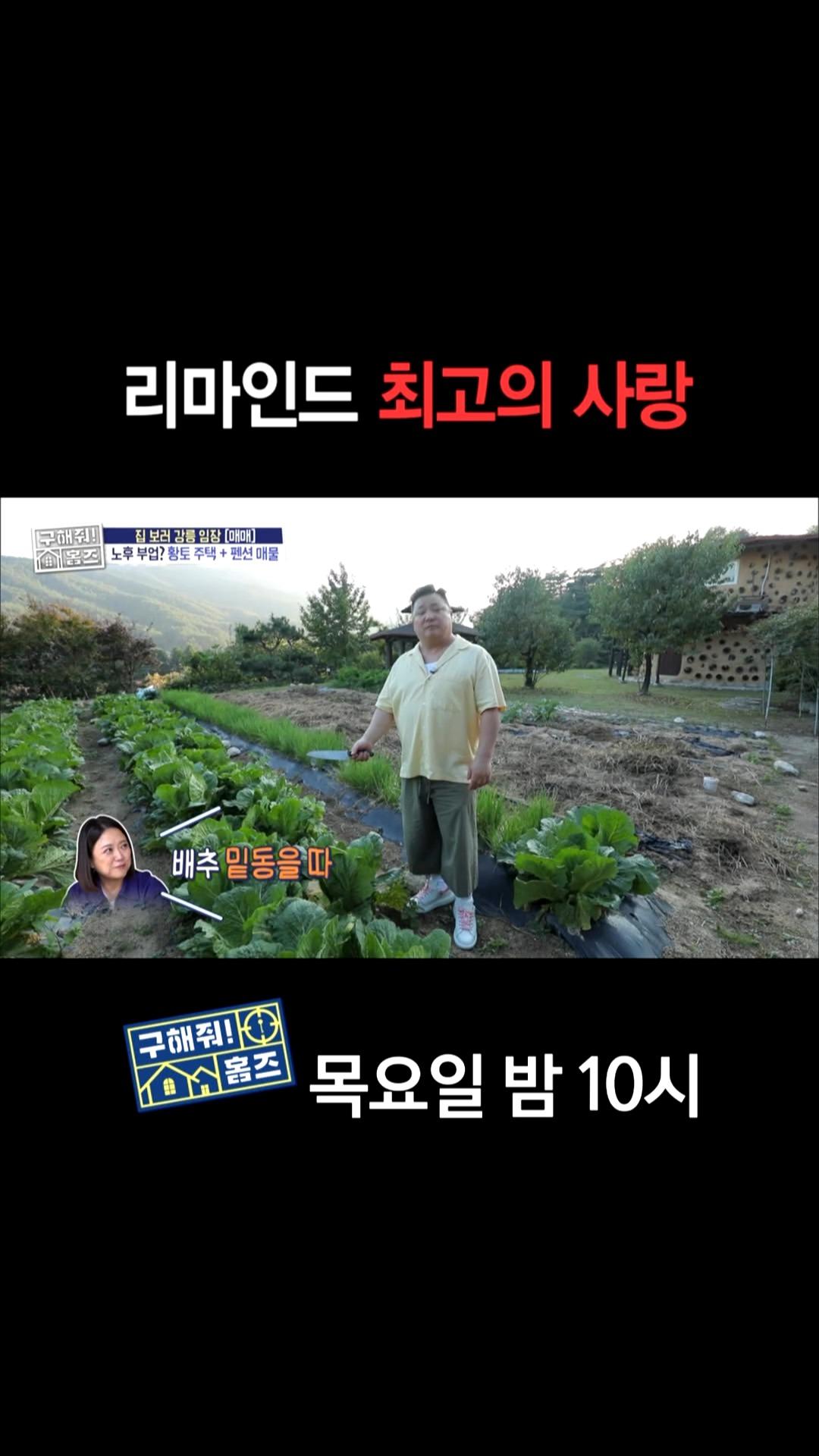 [홈즈후공개] 리마인드 최고의 사랑, MBC 241212 방송 | ZUM TV