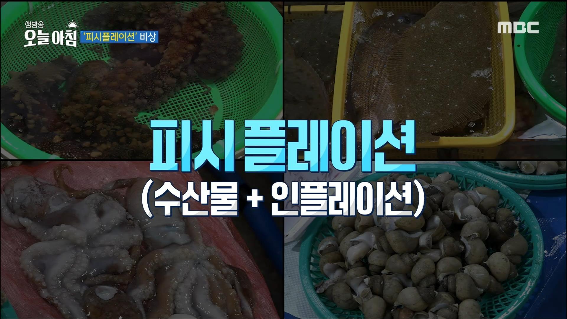 피시플레이션 비상!, MBC 250311 방송 | ZUM TV