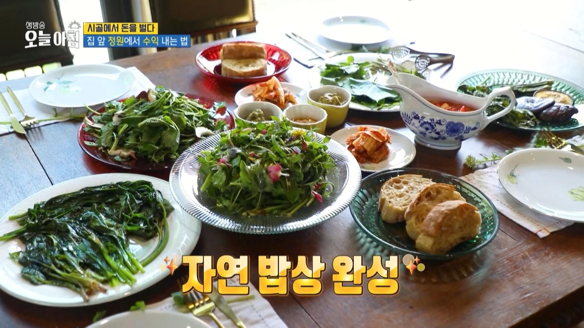 로망 실현한 비밀의 정원!, MBC 250424 방송 | ZUM TV