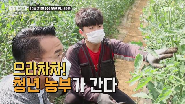 생생 정보마당 [740회] - 실속 있는 수요일 MBN 201021 방송 | ZUM TV