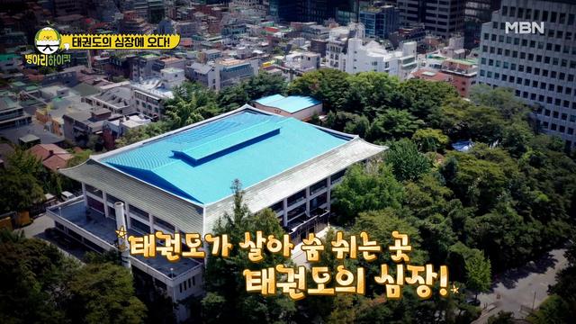 병아리 노란띠를 향한 출격! 가자! 태권도의 본부로! MBN 210613 방송 | ZUM TV