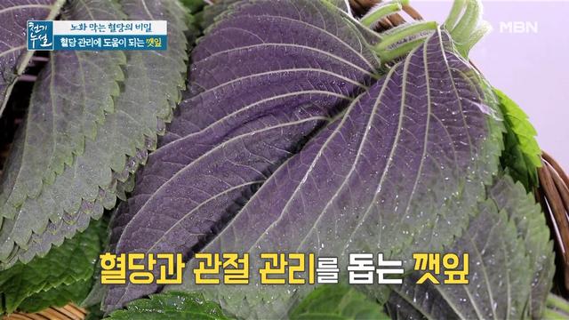 깻잎이 당뇨 예방에 도움이 되는 이유는? MBN 211001 방송 | ZUM TV