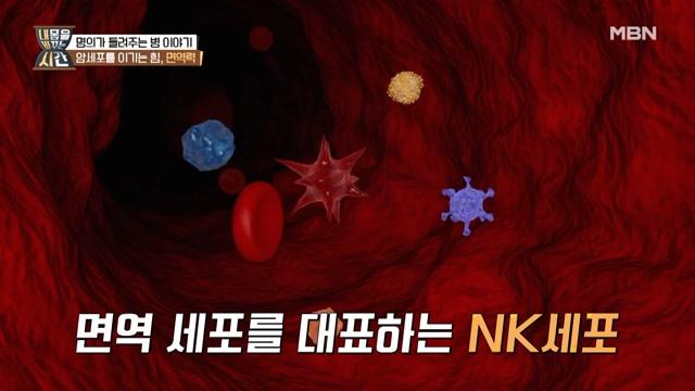 면역력아 힘내…! 암 환자의 충격적인 NK 세포 활성도 MBN 220904 방송 | ZUM TV