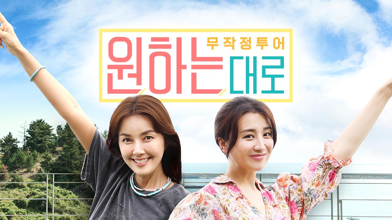 무작정투어 원하는대로 | ZUM TV