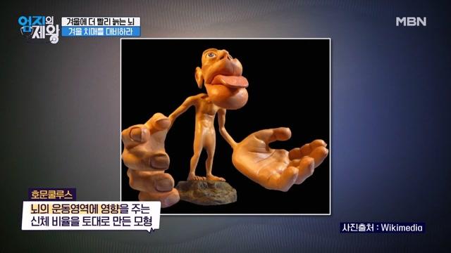 치매 예방의 비법이 담긴 특별한 모형! ★호문쿨루스★ MBN 230103 방송 | ZUM TV