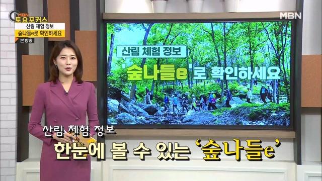생활플러스_“산림체험 정보 숲나들e로 확인하세요” MBN 230211 방송 | ZUM TV