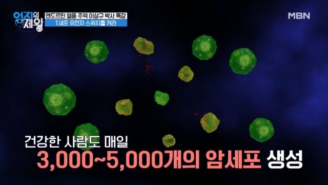 모든 사람이 암 예비 환자!? 매일 매일 내 몸에서 암이 생긴다? MBN 230502 방송 | ZUM TV