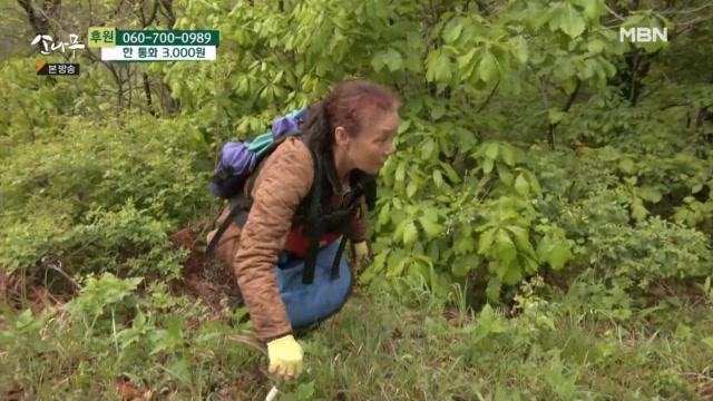 몸이 아픈 와중에도 나물을 캐는 할머니 MBN 230513 방송 | ZUM TV