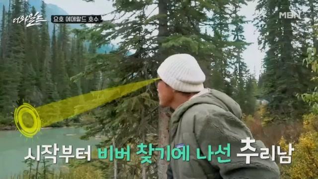 비버무새(?) 추형! 호수 초입부터 비버 찾기 돌입! MBN 240126 방송 | ZUM TV