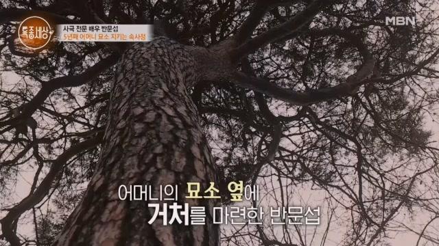 약초꾼이 된 배우 반문섭이 컨테이너를 떠날 수 없는 이유는 시묘살이 때문? MBN 240201 방송 | ZUM TV