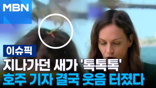 지나가던 새가 '톡톡톡'…호주 기자 결국 웃음 터졌다 外 | 이슈픽 | ZUM TV