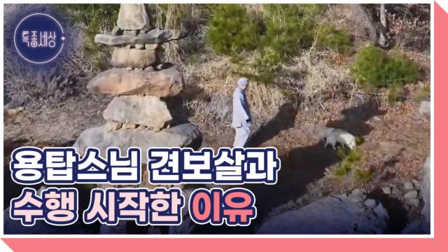 천불천탑 마스코트 허불 허굴 남매 MBN 240314 방송 | ZUM TV