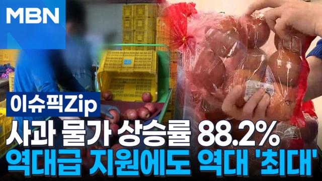 사과 물가 상승률 88.2% 역대급 지원에도 역대 '최대' | 이슈픽 zip | ZUM TV