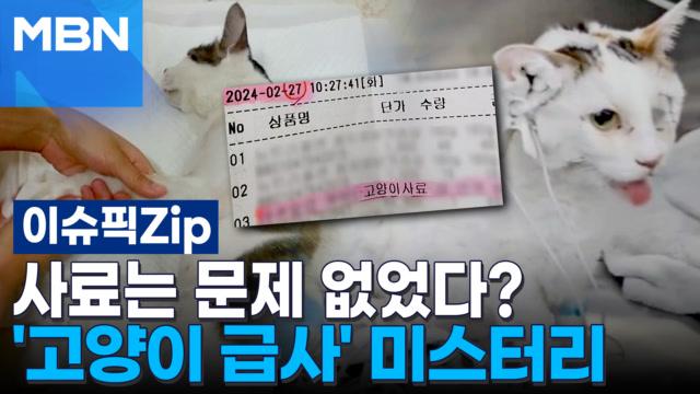 사료는 문제 없었다? '고양이 급사' 미스터리 | 이슈픽 zip | ZUM TV