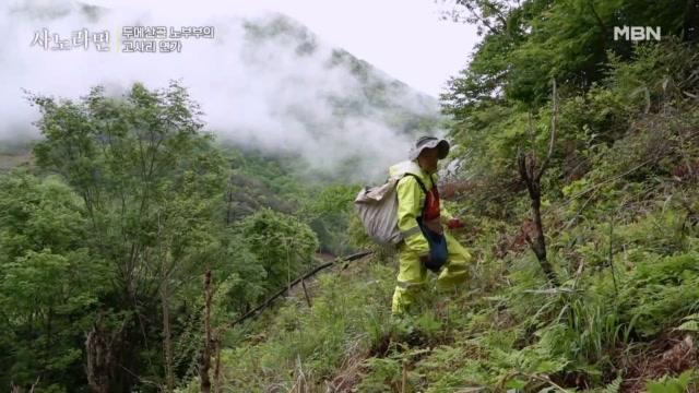 똑똑, 지리산 깊은 골짜기에 찾아온 손님~ MBN 240526 방송 | ZUM TV