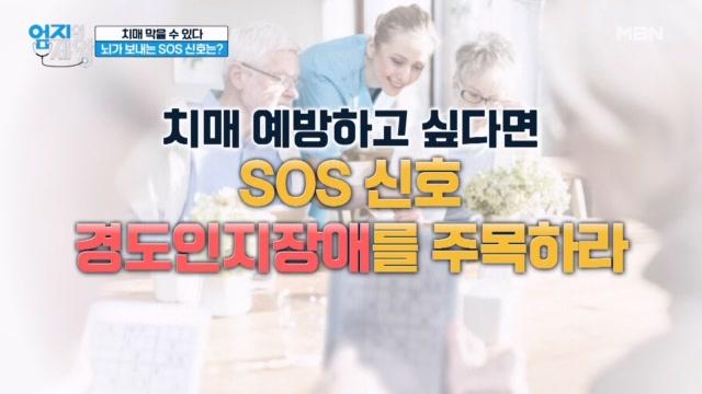 뇌가 보내는 SOS 신호? 치매 예방하고 싶다면 『경도인지장애』를 주목하라!!! MBN 240730 방송 | ZUM TV