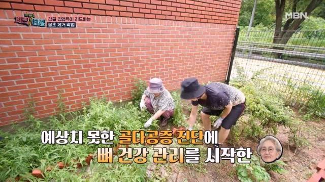 최고령 여배우 김영옥의 휴일 활용법은? 관절 건강에 도움이 되는 잡초 제거 작업?! MBN 240909 방송 | ZUM TV