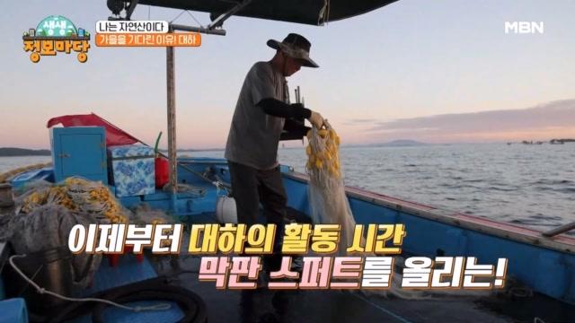 생생한 대하 조업 현장! MBN 240925 방송 | ZUM TV