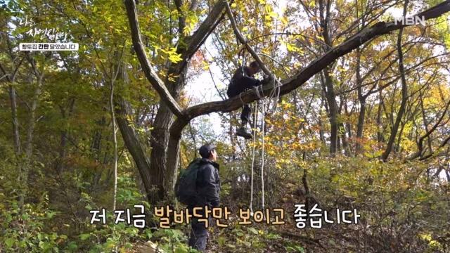 낭만 가득한 나무 그네와 운치 있는 낙엽비로 가을 무드 충전♥ MBN 241120 방송 | ZUM TV