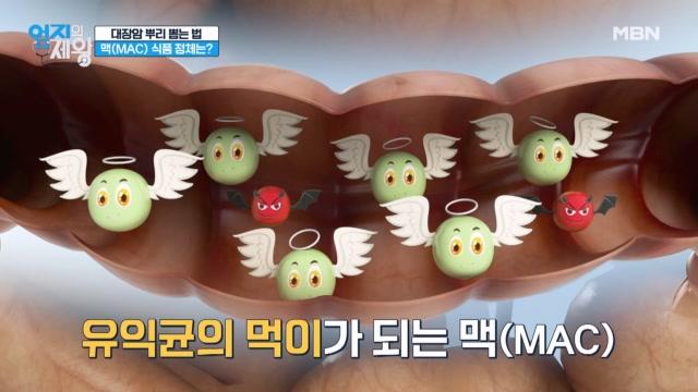 대장 용종 방치하면 암 될 수 있다?! 용종 뿌리 뽑는 맥(MAC) 식품 정체는? MBN 241217 방송 | ZUM TV