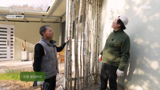 솎아낸 자작나무로 멋진 가벽이 뚝-딱 자연 친화 인테리어 완성! MBN 250409 방송 | ZUM TV