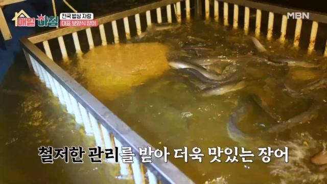 한국인 대표 보양식 장어 양식 현장! MBN 250409 방송 | ZUM TV