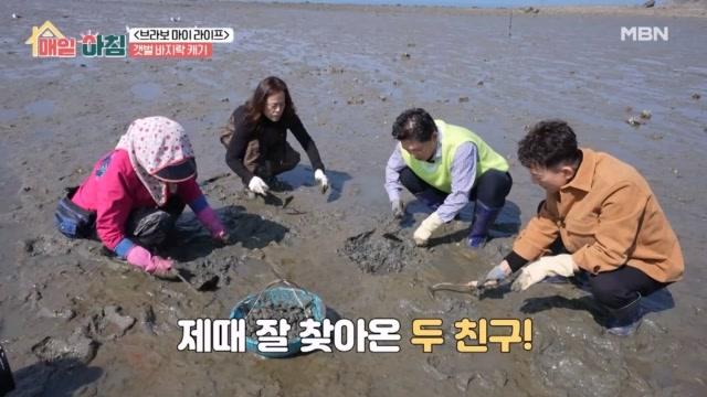 서해의 보물섬, 대부도에서 갯벌 바지락 캐기! MBN 250512 방송 | ZUM TV