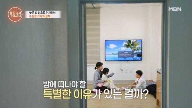“벌들은 꼭 밤에 이동을 해야 돼요” 가족이 야반도주 하듯 이사한 이유는 벌 때문? MBN 250612 방송 | ZUM TV