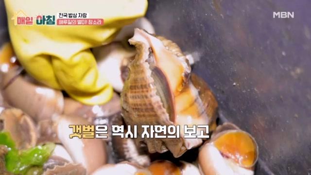 해루질로 만난 제철의 맛! 참소라 MBN 250618 방송 | ZUM TV