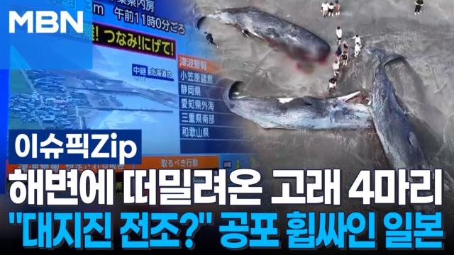 해변에 떠밀려온 고래 4마리, ＂대지진 전조?＂ 공포 휩싸인 일본 | 이슈픽 zip | ZUM TV